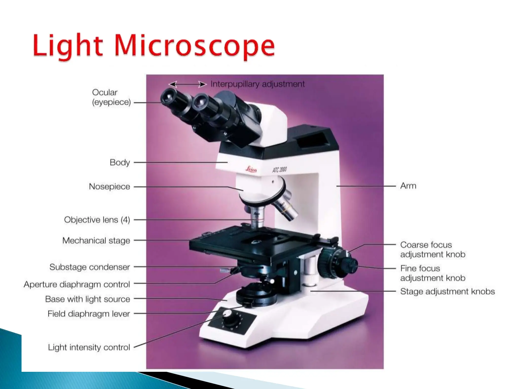 123 Types of microscopes & Microtechniques | PPT
