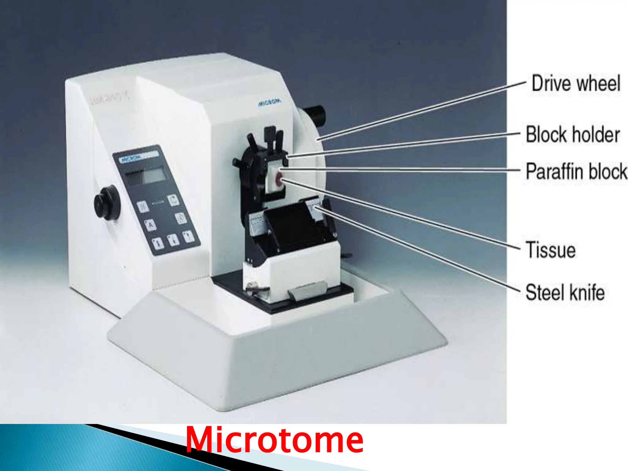 123 Types of microscopes & Microtechniques | PPT