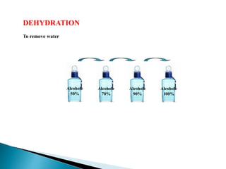 123 Types of microscopes & Microtechniques | PPT