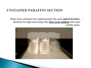 123 Types of microscopes & Microtechniques | PPT