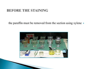 123 Types of microscopes & Microtechniques | PPT