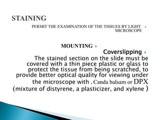123 Types of microscopes & Microtechniques | PPT