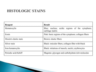 123 Types of microscopes & Microtechniques | PPT