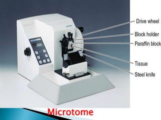 123 Types of microscopes & Microtechniques | PPT
