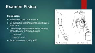 406321277-Semiologia-Del-Miembro-Superior.ppt