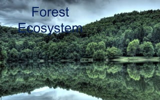 Forest ecosystem -its types and functions | PPT