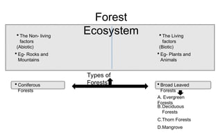 Forest ecosystem -its types and functions | PPT