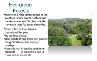Forest ecosystem -its types and functions | PPT