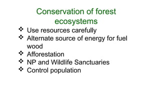 406445924-Forest-Ecosystem-ppt of ecosystem | PPT