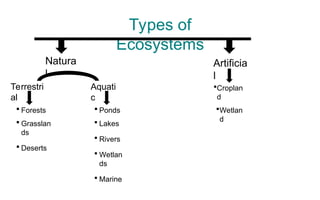 406445924-Forest-Ecosystem-ppt of ecosystem | PPT