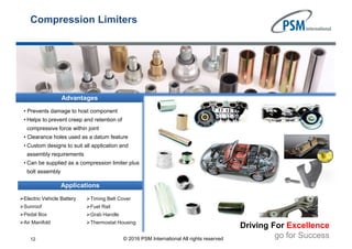 PSM Company Profile_2016 | PPT