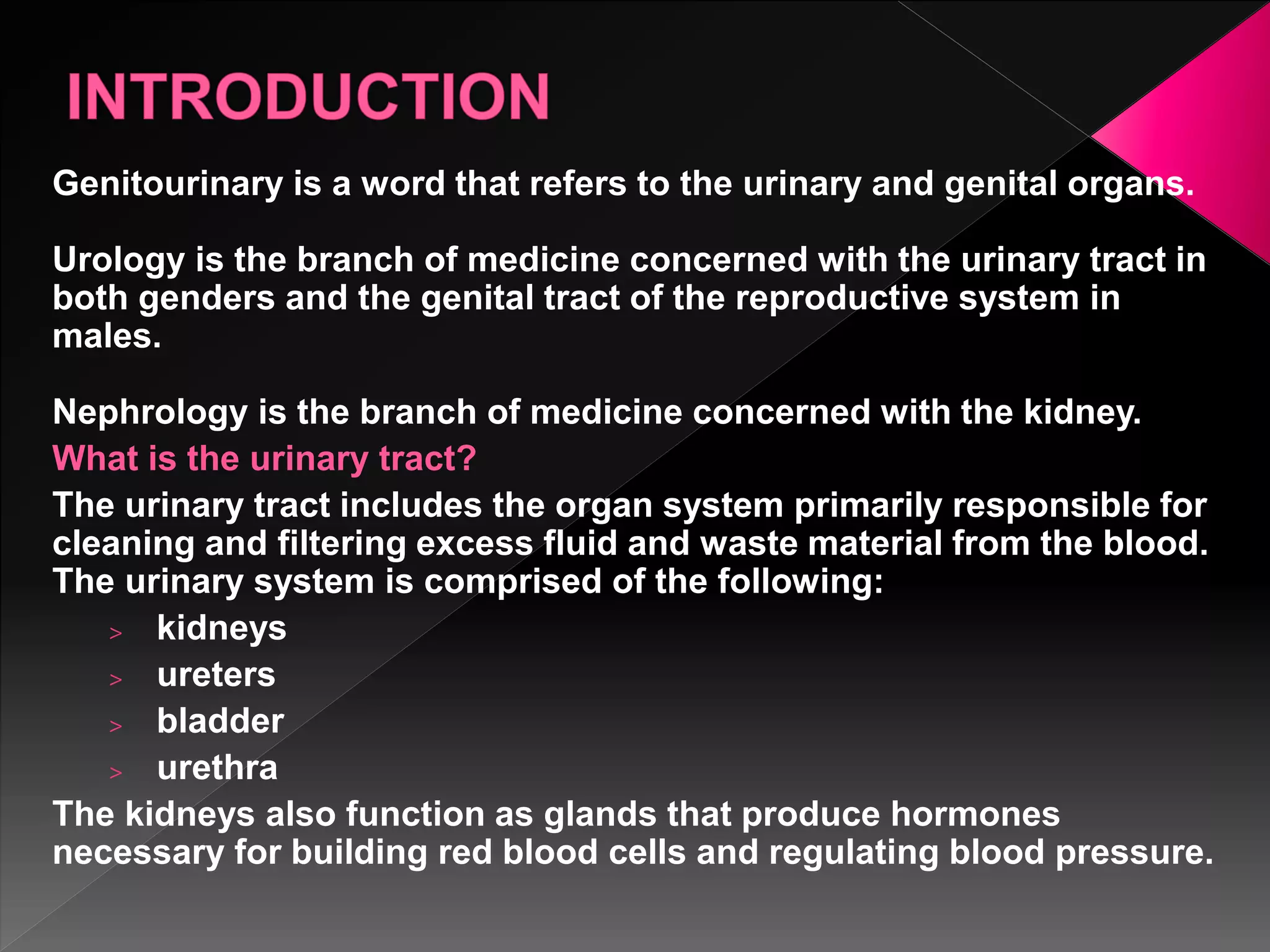 GENITOURINARY SYSTEM | PPTX