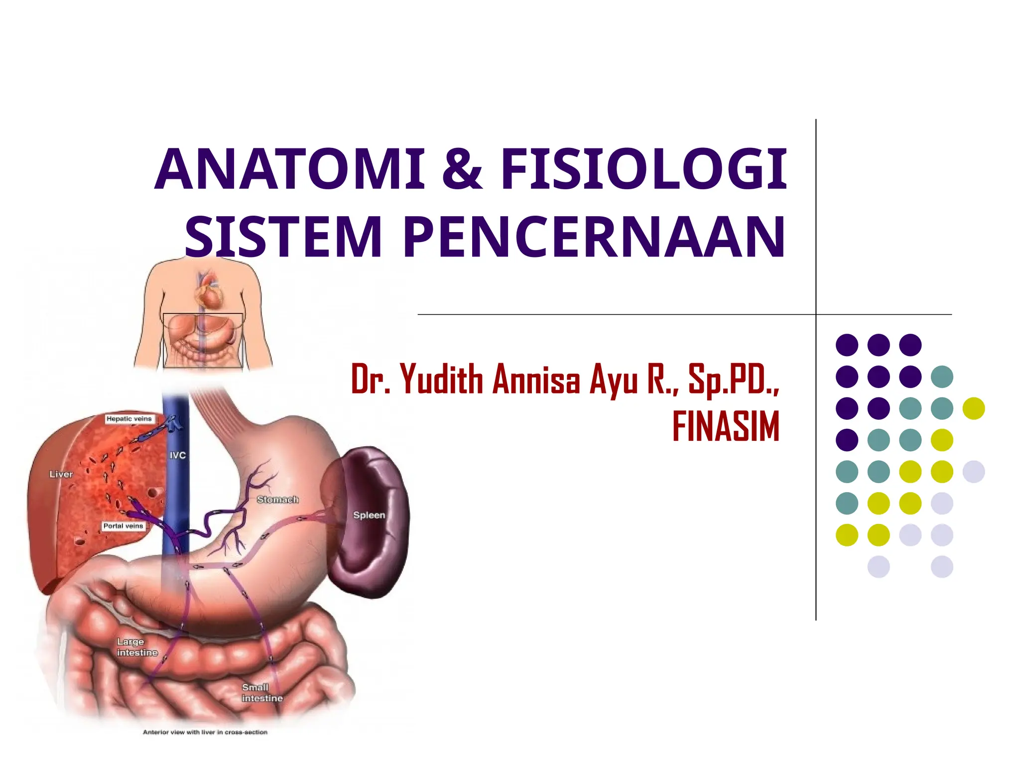 407566122-Anatomi-Fisiologi-Sistem-Pencernaan.ppt
