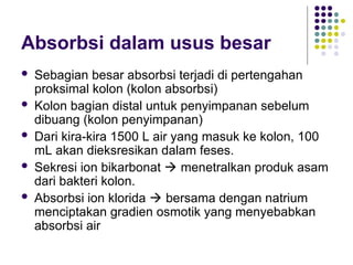 407566122-Anatomi-Fisiologi-Sistem-Pencernaan.ppt