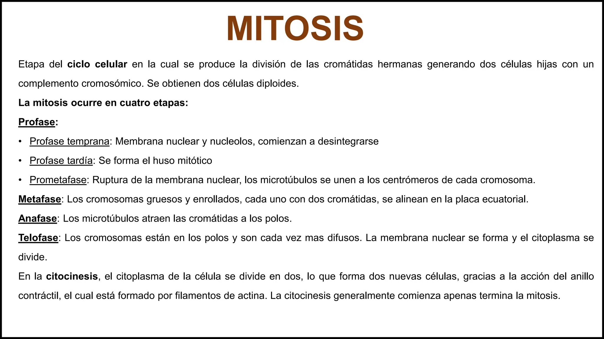 Ciclo celular, mitosis, meiosis, fases, etc. | PPTX