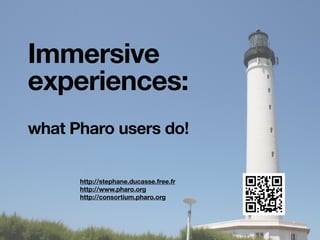 Immersive experiences: what Pharo users do! | PDF