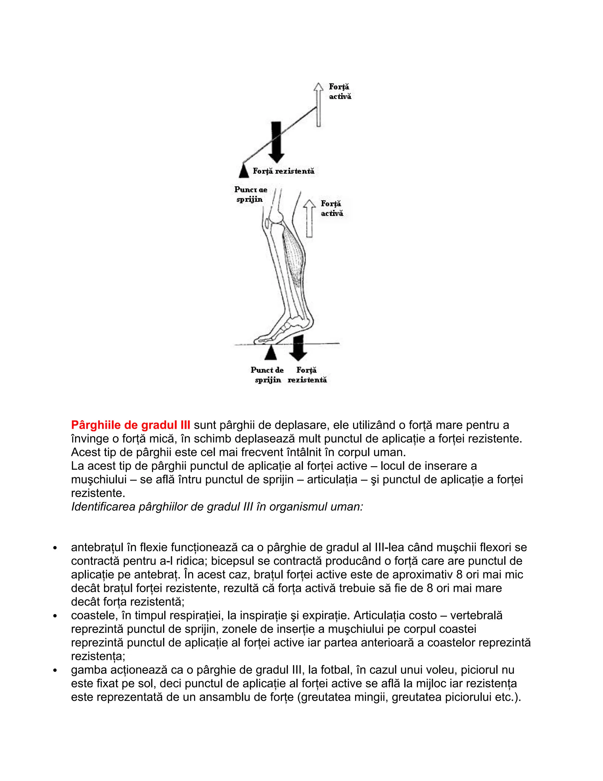 408630735-Parghii-In-Organismul-Uman (1).docx