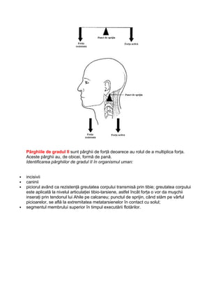 408630735-Parghii-In-Organismul-Uman (1).docx