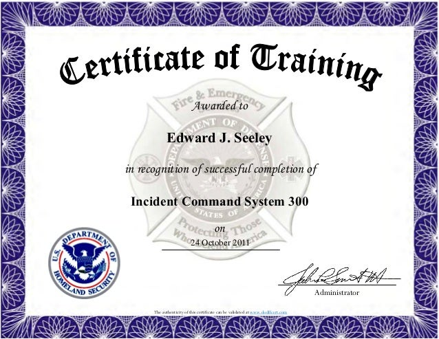 24. Incident Command System 300