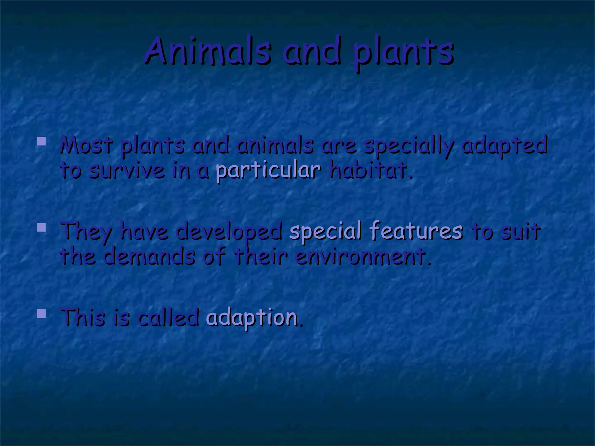 Ecological Habitats PowerPoint Presentation | PPT