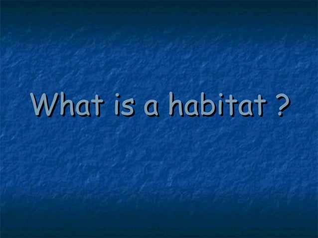 Ecological Habitats PowerPoint Presentation | PPT