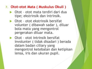 409524135-PPT-Anatomi-Fisiologi-Sistem-Penginderaan.pptx