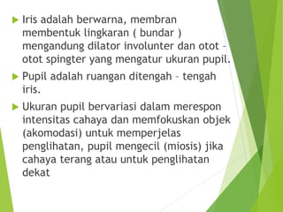 409524135-PPT-Anatomi-Fisiologi-Sistem-Penginderaan.pptx