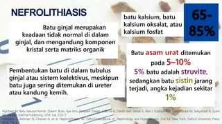 409651743 nefrolithiasis | PPT