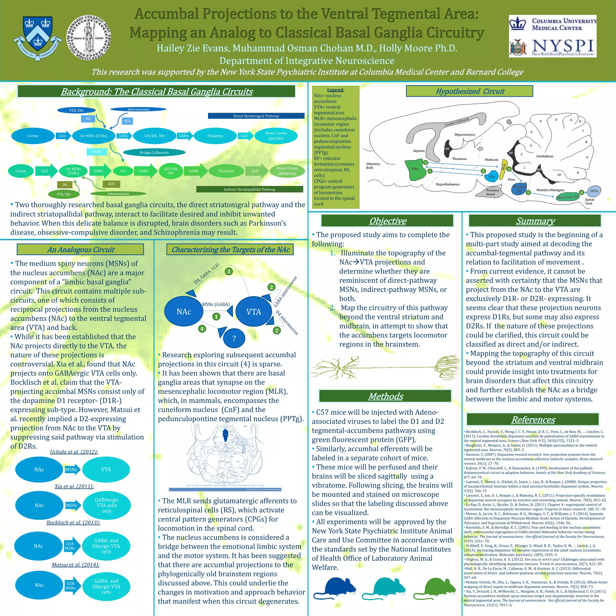 Hailey_Evans NAc VTA Poster 2014 | PDF