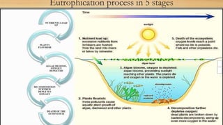 Eutrophication | PPTX