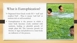 Eutrophication | PPTX
