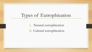Eutrophication | PPTX