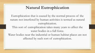 Eutrophication | PPTX