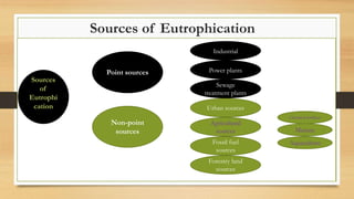 Eutrophication | PPTX