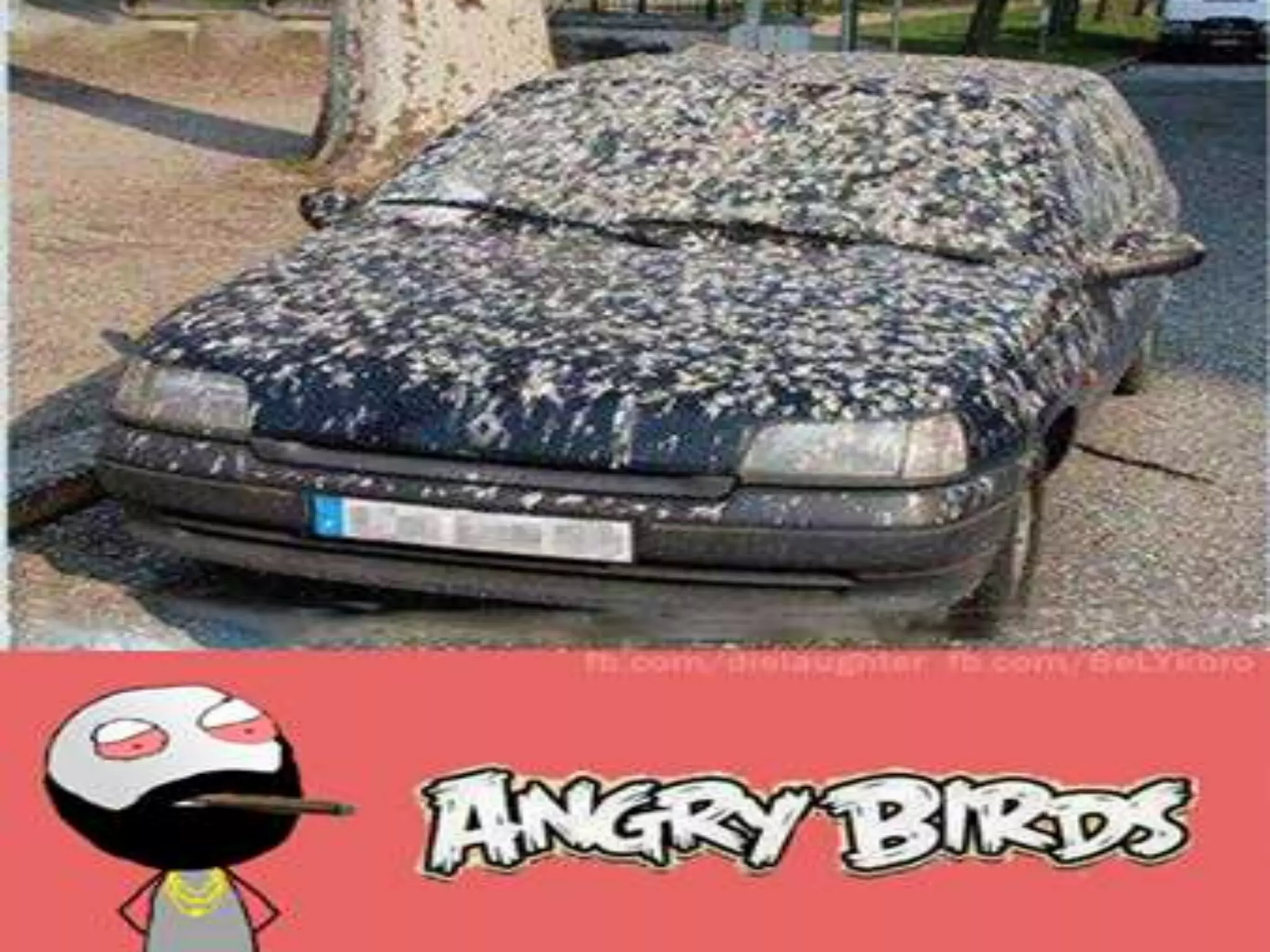 40 be like bro memes that will make you laugh every time | PPTX