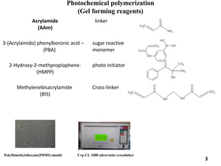 Henok Tesfay - 4th year Presentation | PPT