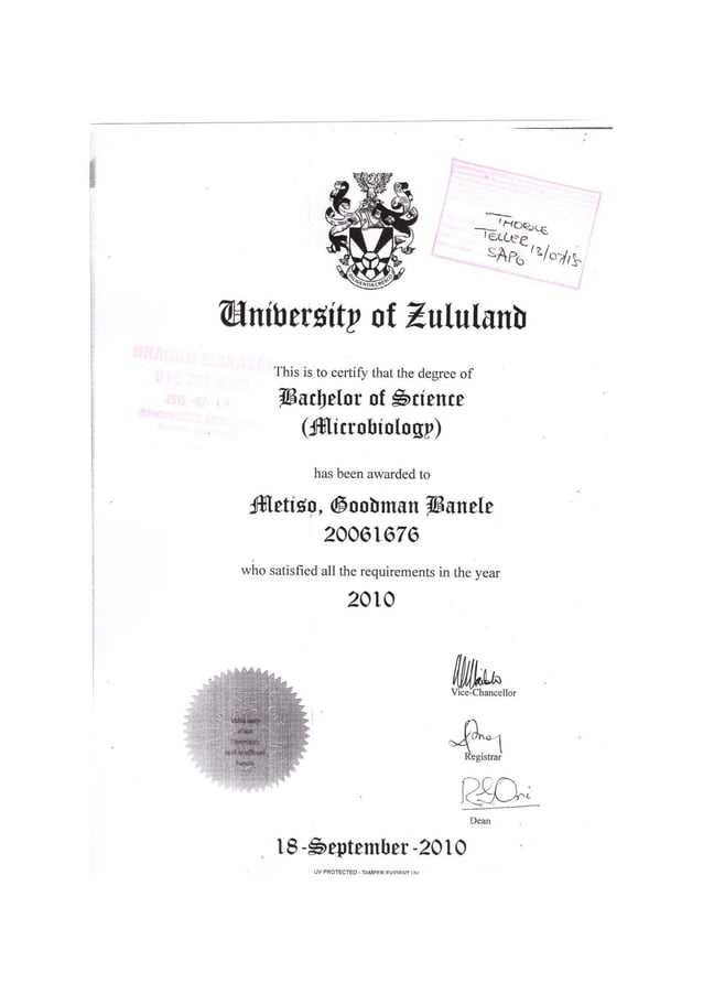 CURRICULUM VITAE OF METISO GOODMAN BANELE | PDF