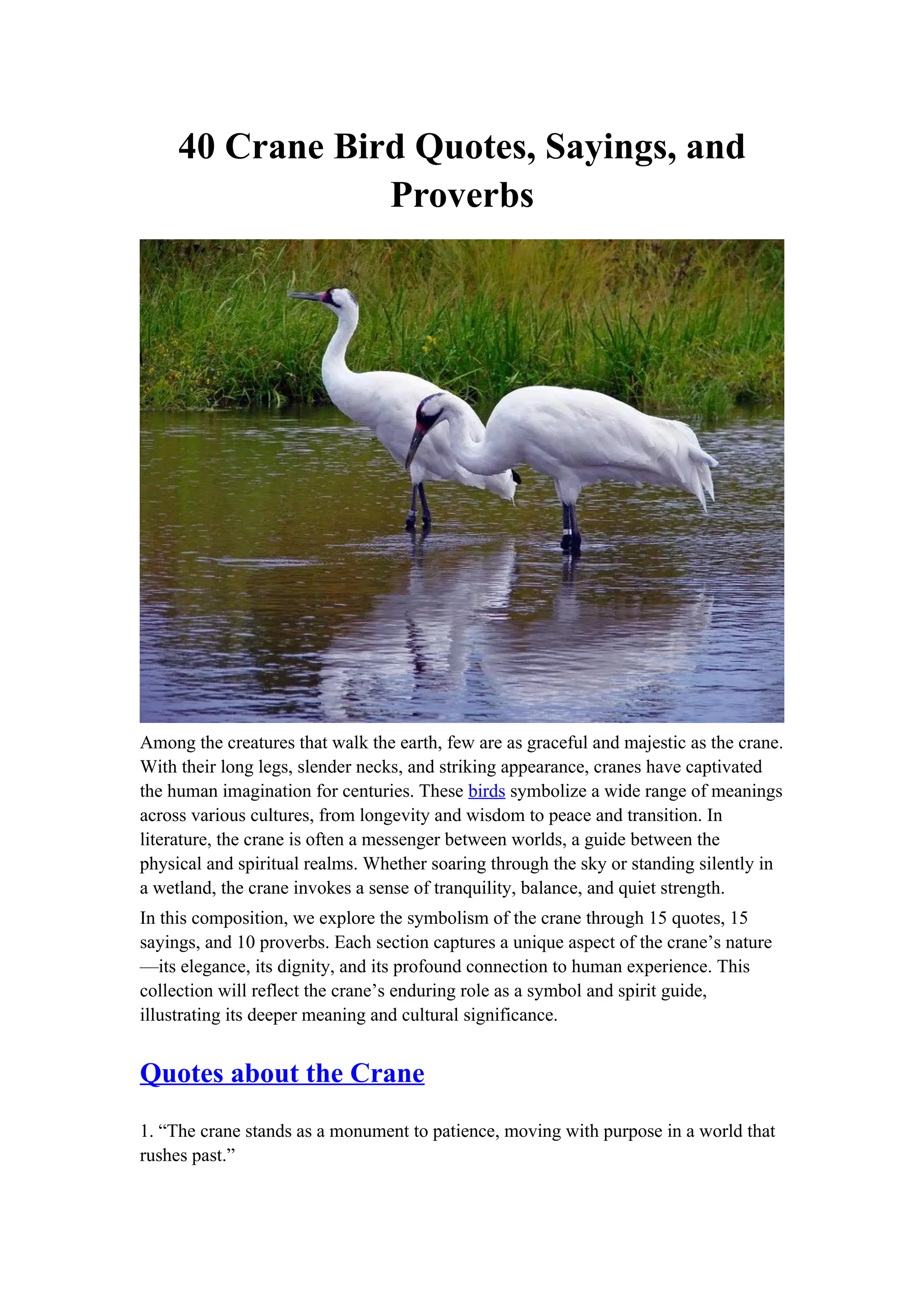 40 Crane Bird Quotes, Sayings, and Proverbs.docx