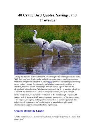 40 Crane Bird Quotes, Sayings, and Proverbs.docx