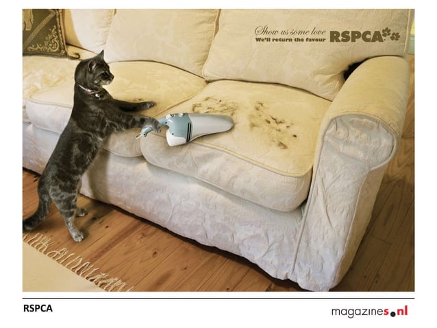 40 creative and funny advertisements using animals | PPT