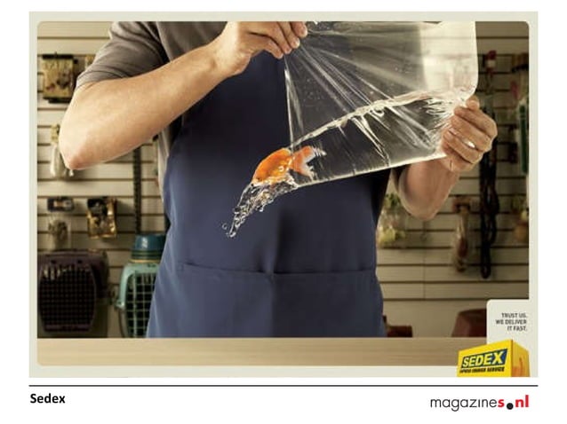 40 creative and funny advertisements using animals | PPT