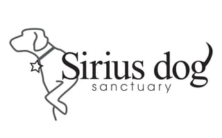 sirius logo | PPT | Free Download