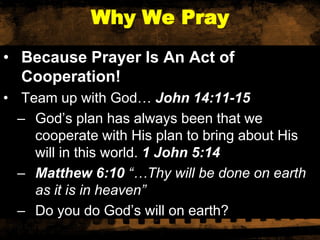 40 days of prayer basics & why | PDF