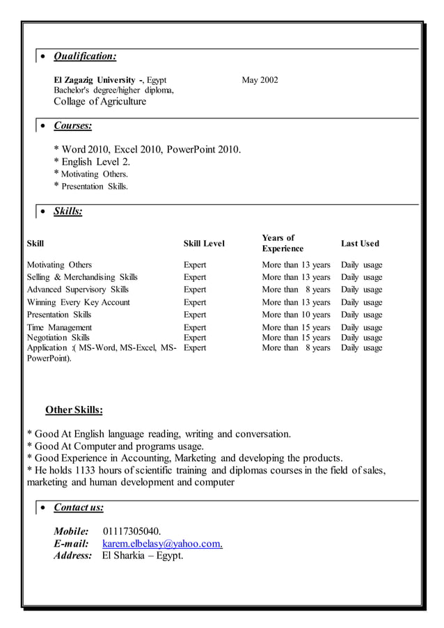 Karem CV - English | DOCX