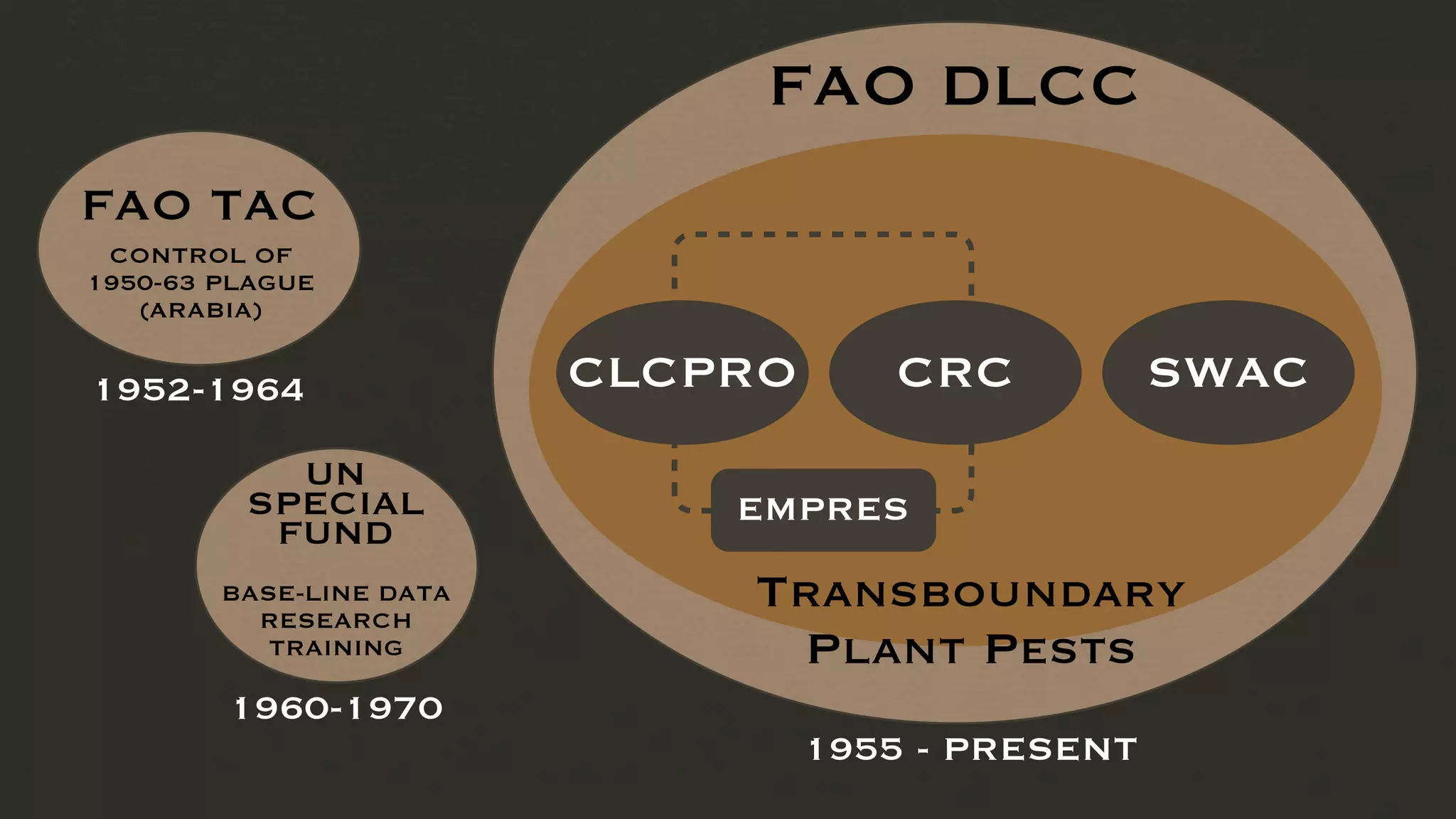 40th DLCC: History of DLCC | PPT