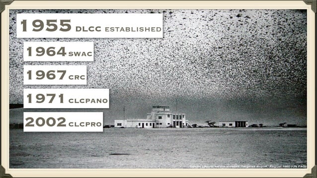 40th DLCC: History of DLCC | PPT