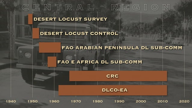 40th DLCC: History of DLCC | PDF