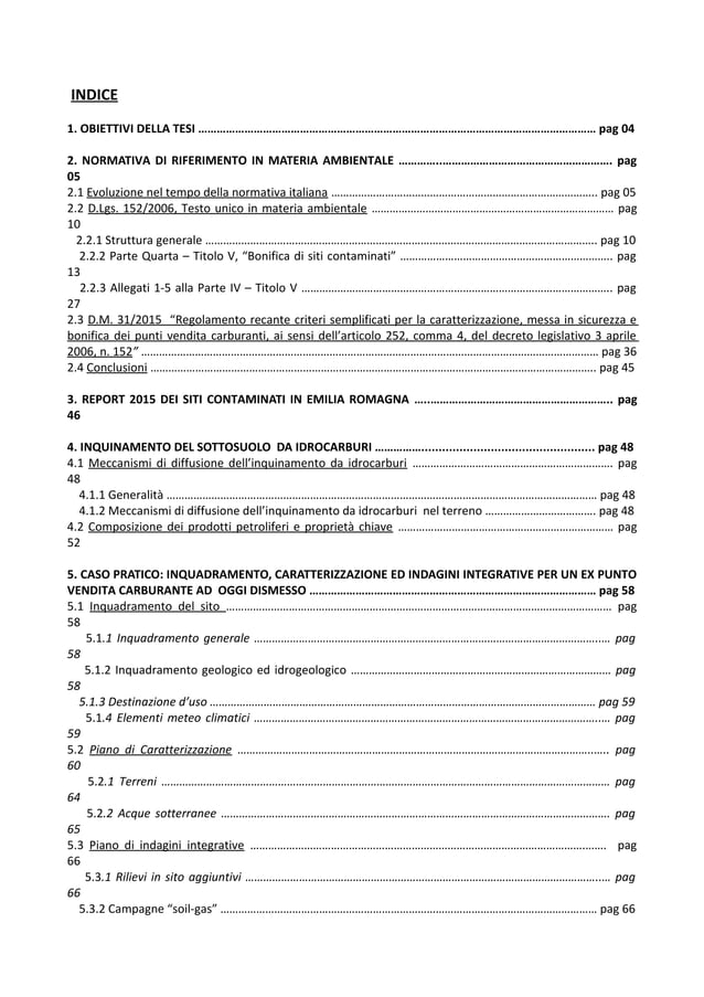 copertina + indice TESI MAGISTRALE