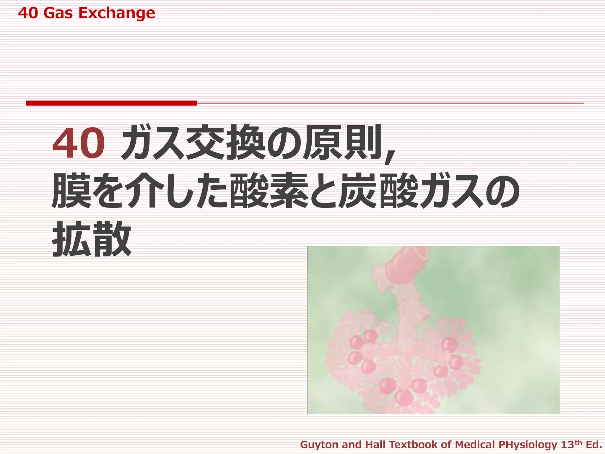 40 gas exchange & diffusion | PPTX