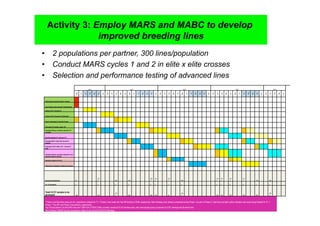 40 Jeff Ehlers Tli Objective2 Phase Ii Work Plan | PDF